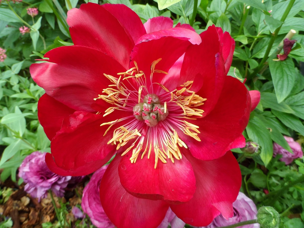 Marla Ann Weinstein - Educator, Poet, Photographer