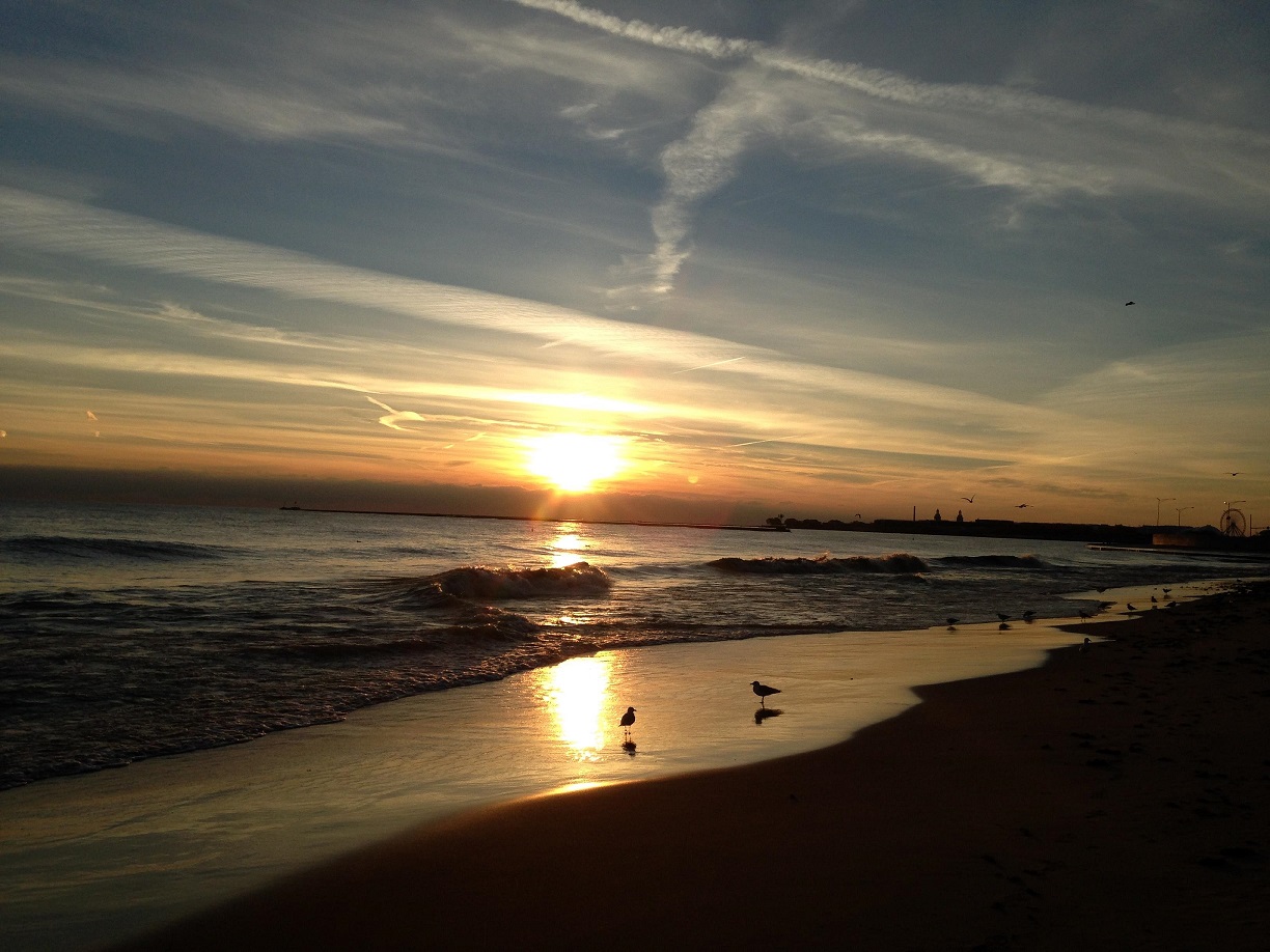 Marla Ann Weinstein - Educator, Poet, Photographer